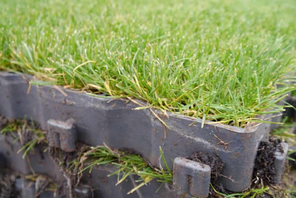 Permeable Paving: A Green Solution | Ecorastergrid